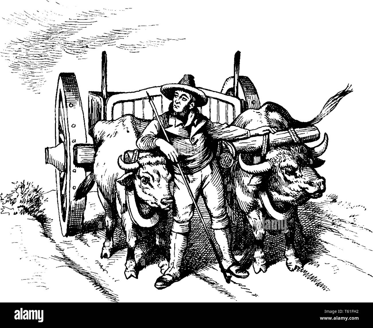 A man with an ox cart, vintage line drawing or engraving illustration ...