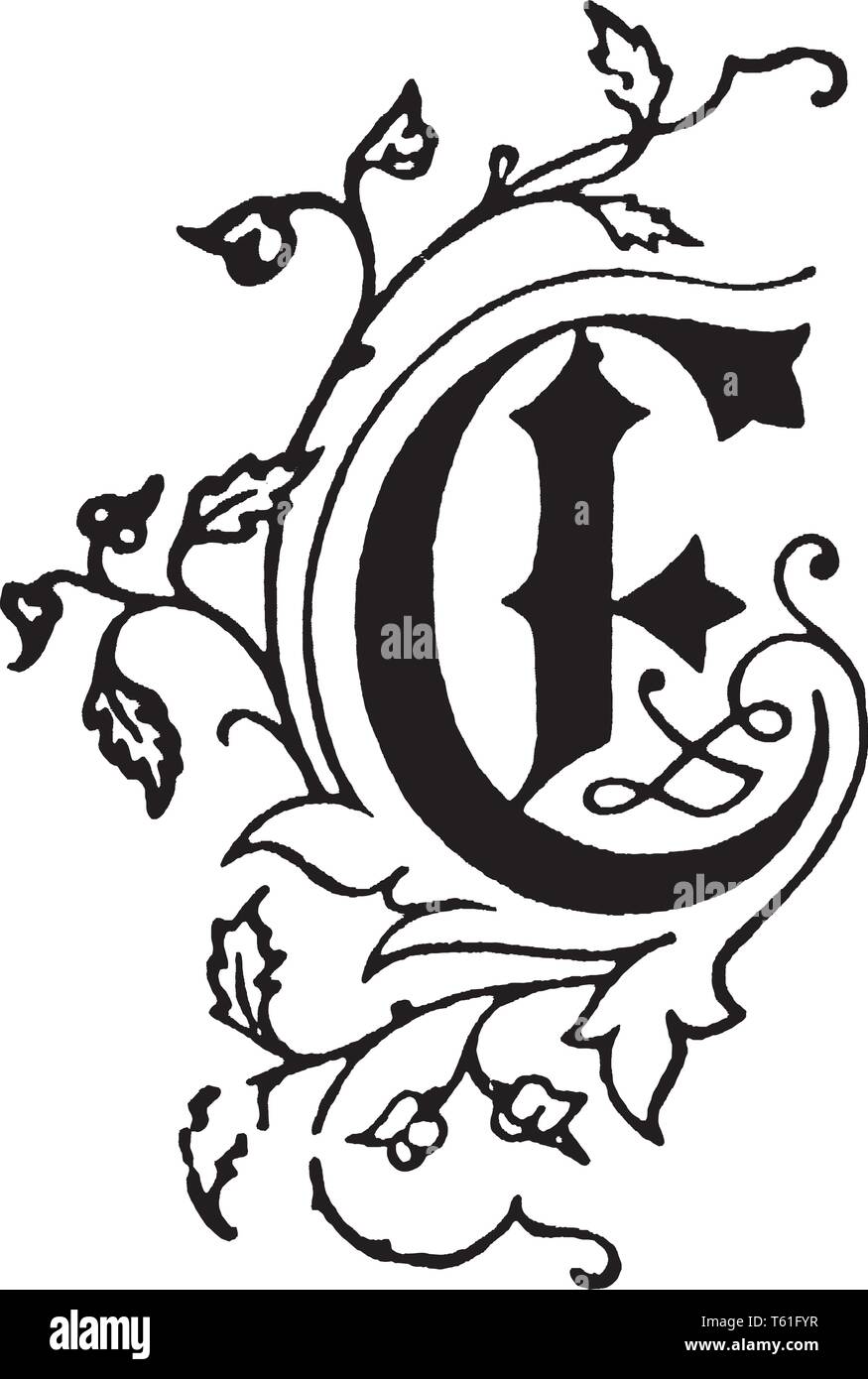 A decorative and floral capital letter E, vintage line drawing or ...