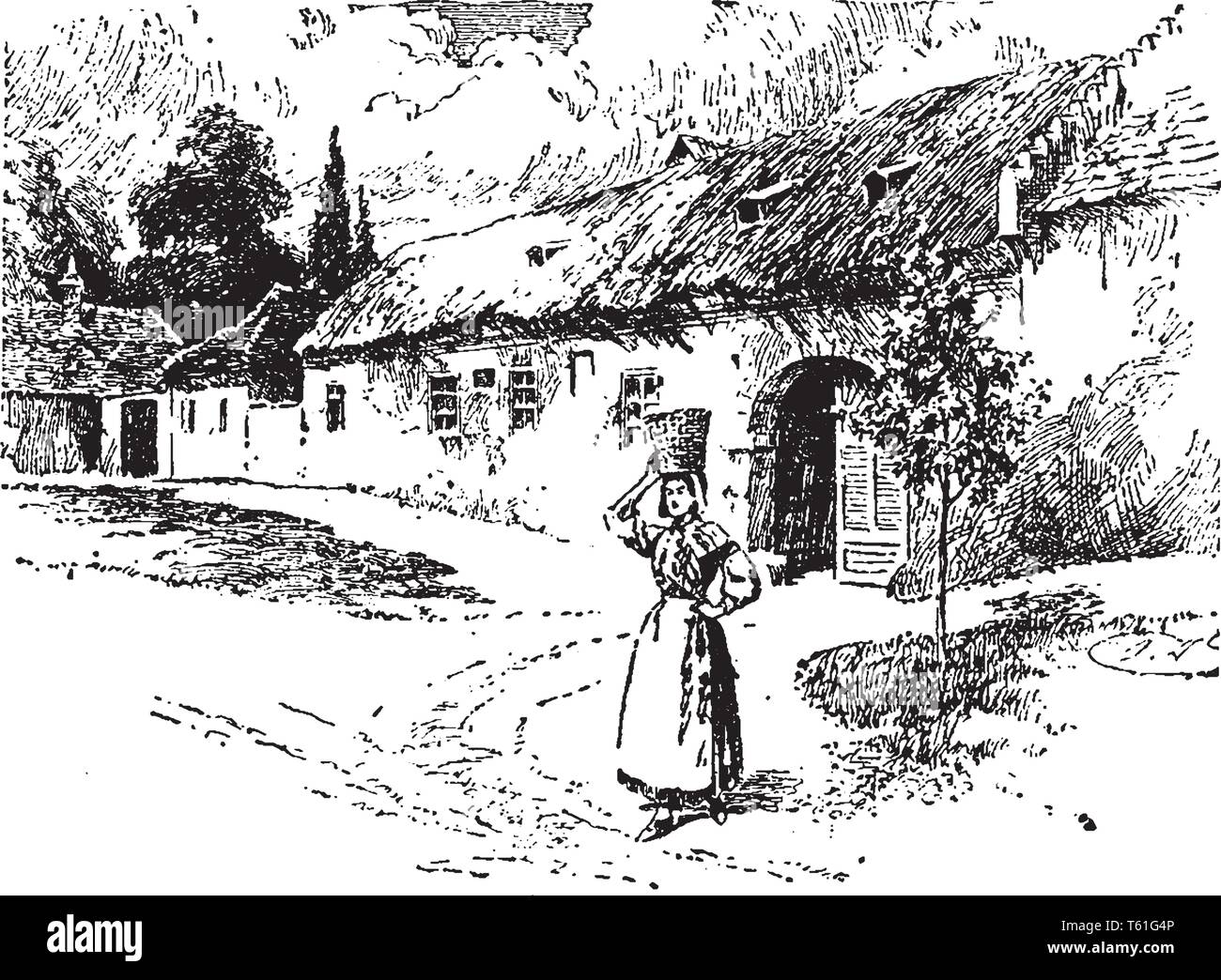 Joseph Haydn was an Austrian composer of the Classical period, vintage ...