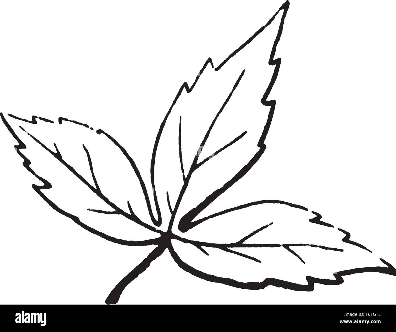 Upper divided Cut Out Stock Images & Pictures - Alamy