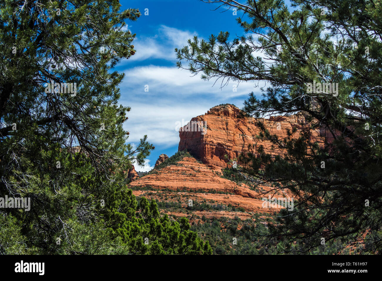 The red rock cliffs of Sedona Arizona Stock Photo - Alamy