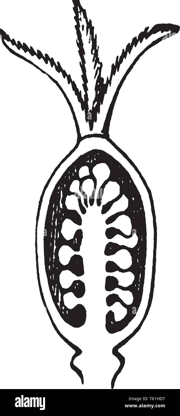 Black white picture lower Cut Out Stock Images & Pictures - Alamy