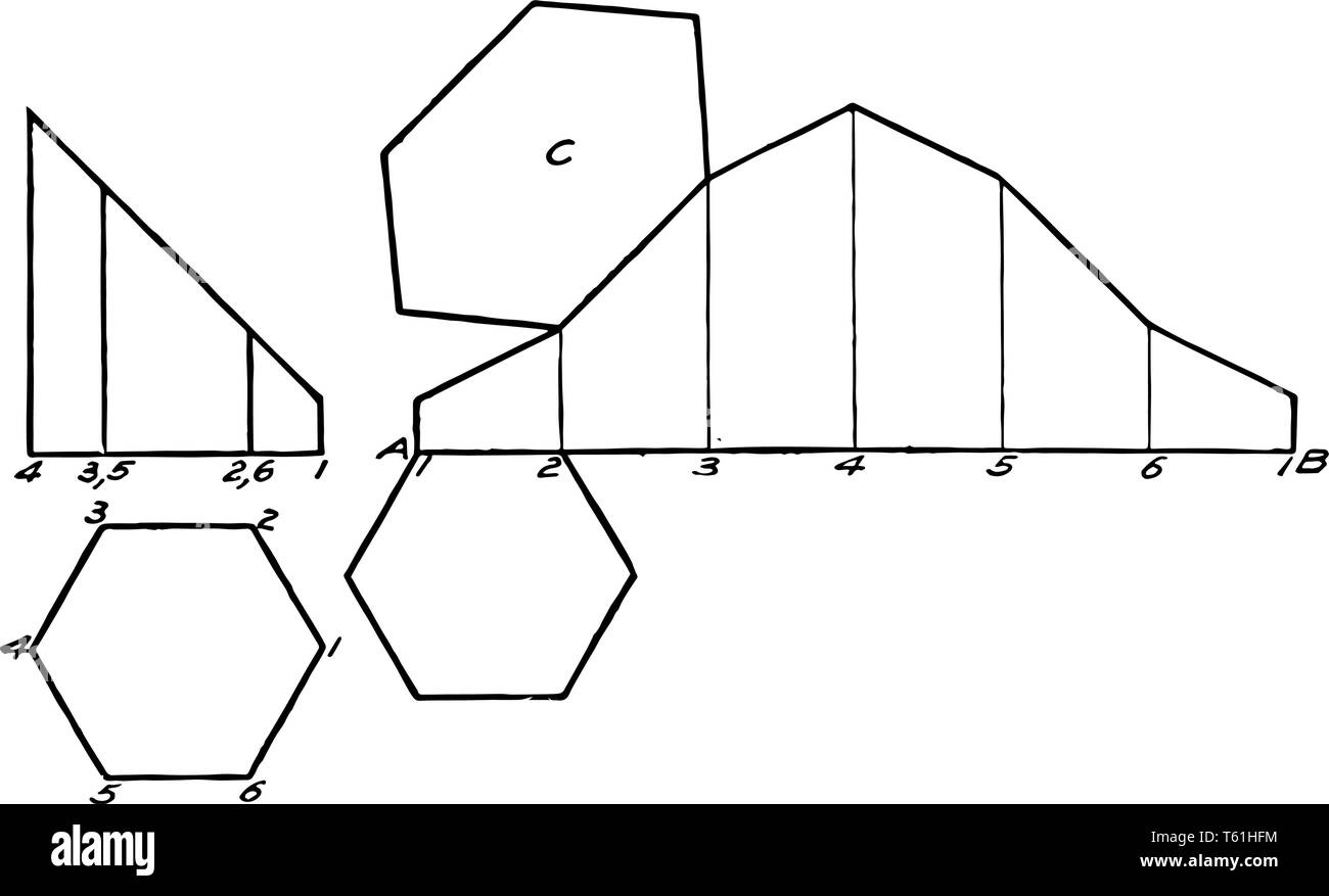 The information that shows the development of hexagonal prisms in ...