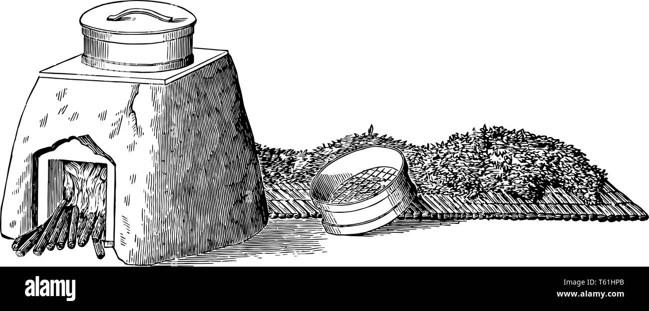 This illustration represents Drying Tea Leaves where tea leaves can be ...