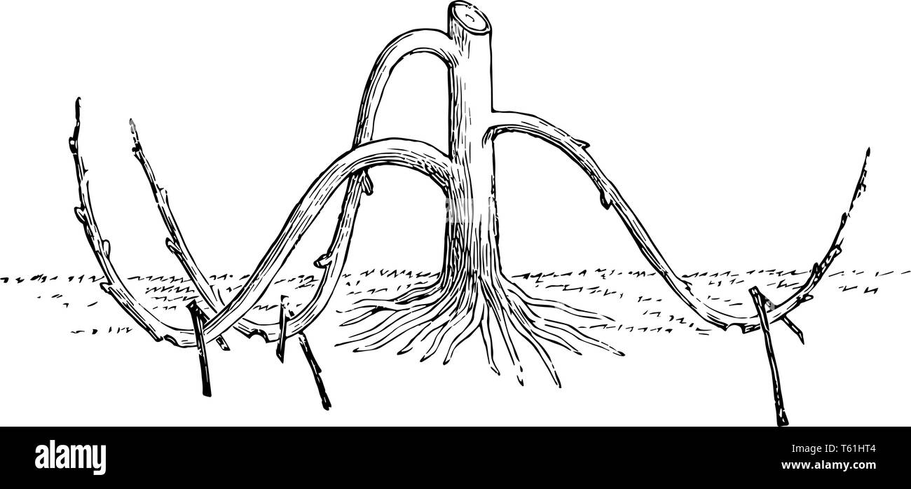 Notching Stock Vector Images - Alamy