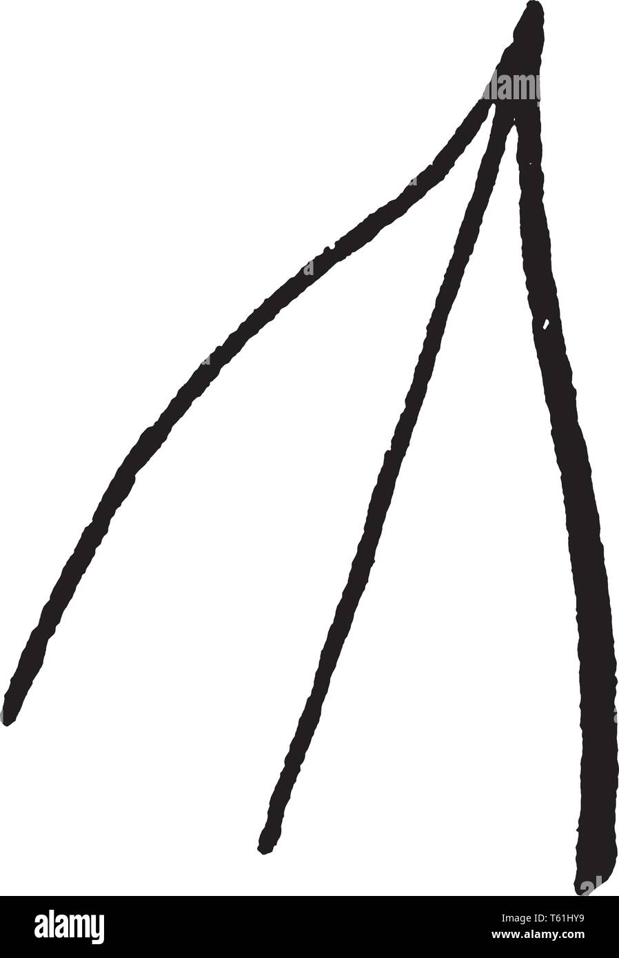 Tapering end Stock Vector Images - Alamy