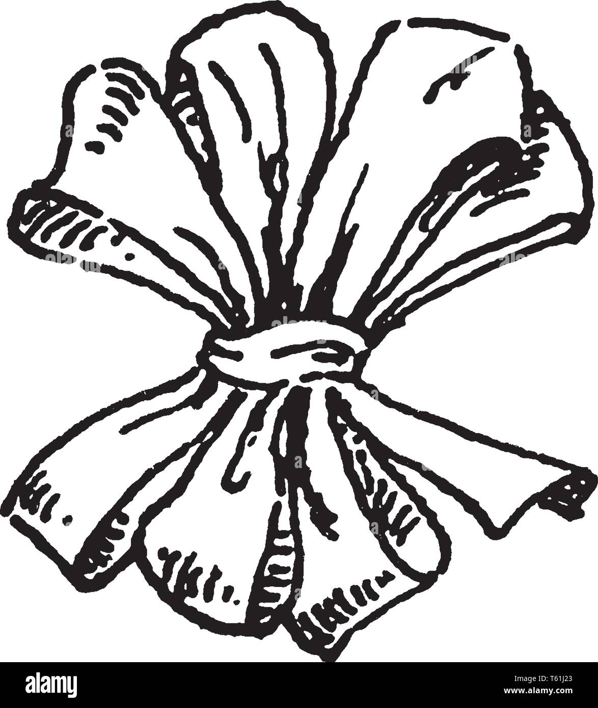 Rosette of even loops have the same number of loops on each side of the ...