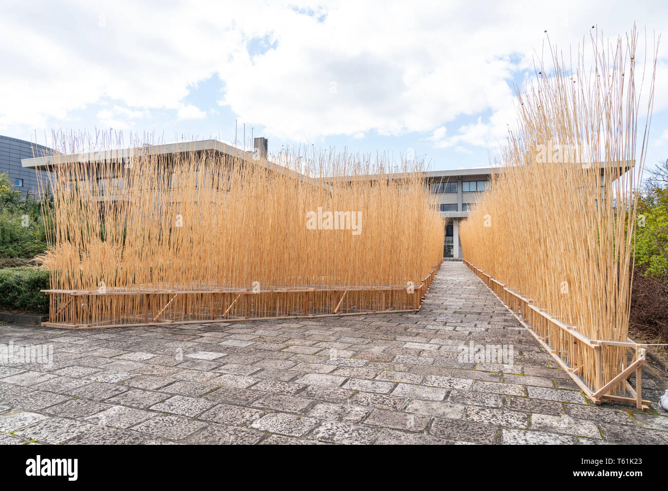 Kyoto prefectural library hi-res stock photography and images - Alamy