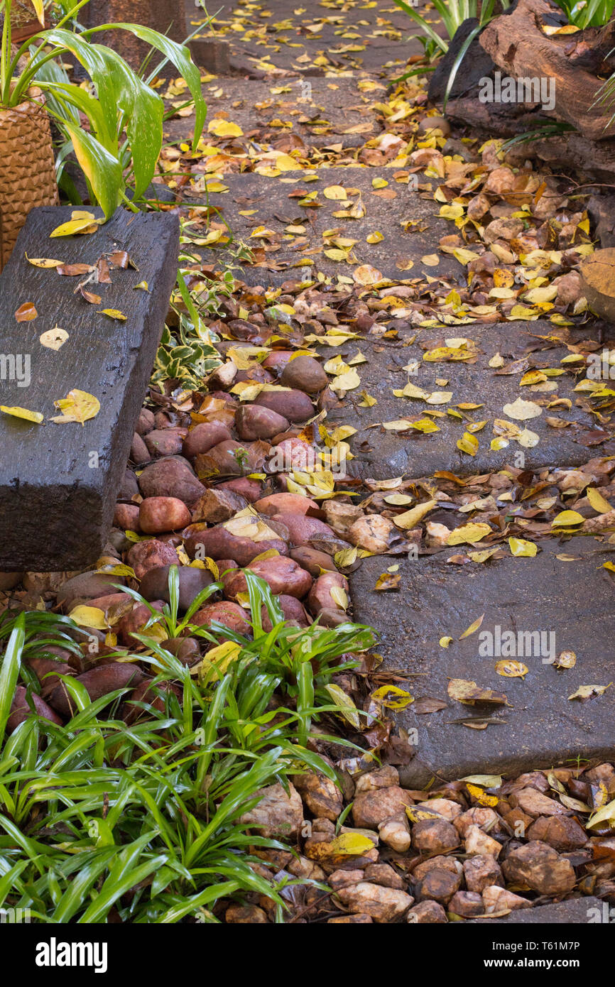 Garden path with stepping and cobble stones covered with autumn leaves ...