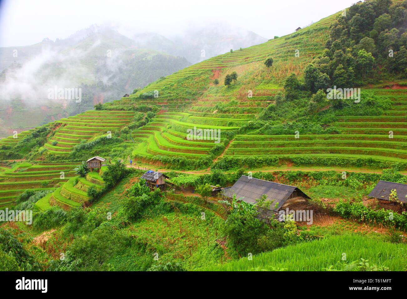 Sapa vietnam terrace high hi-res stock photography and images - Alamy