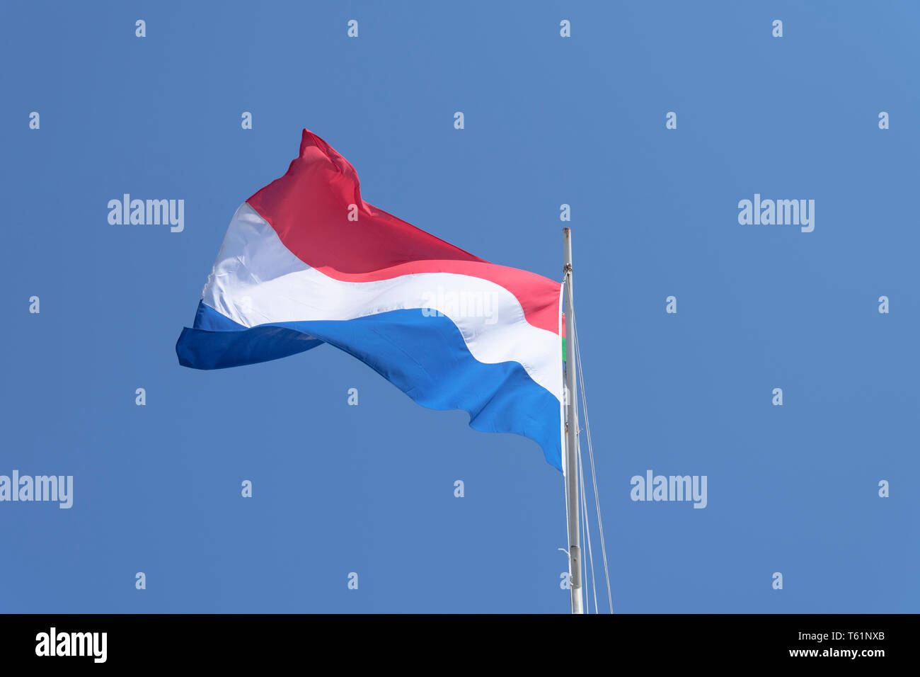 Flag of Netherlands waving in the wind with a nice blue background ...