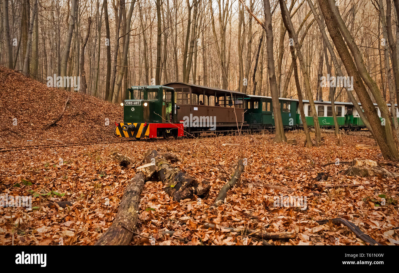 The narrow-gauge train at Mahóca in the Bükk National Park, Hungary ...