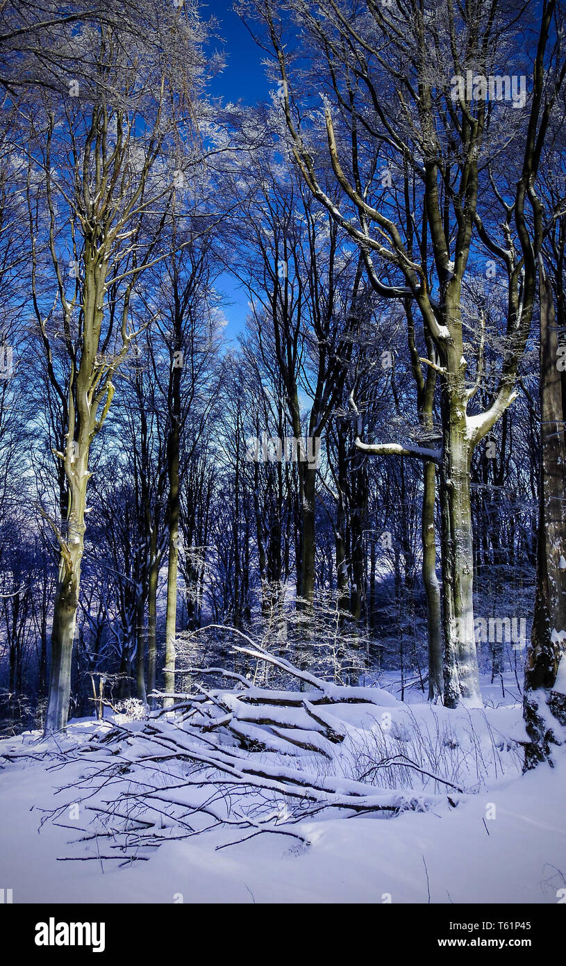 Galyateto hi-res stock photography and images - Alamy