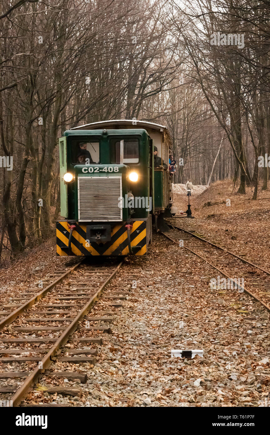The narrow-gauge train at Mahóca in the Bükk National Park, Hungary ...