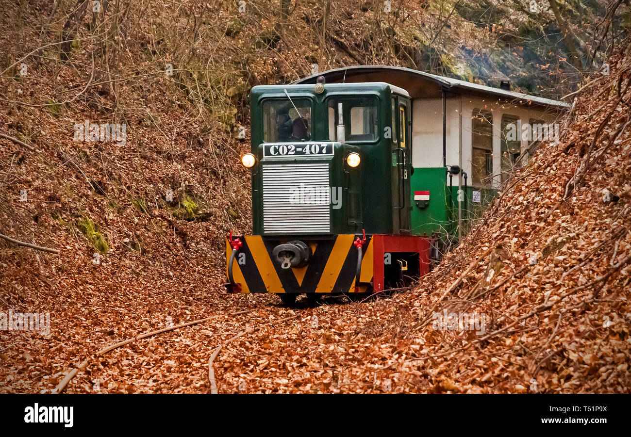 The narrow-gauge train at Mahóca in the Bükk National Park, Hungary ...