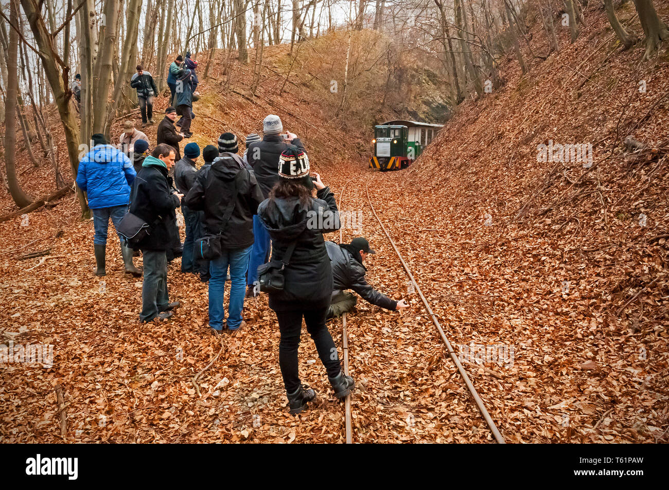 The narrow-gauge train at Mahóca in the Bükk National Park, Hungary ...