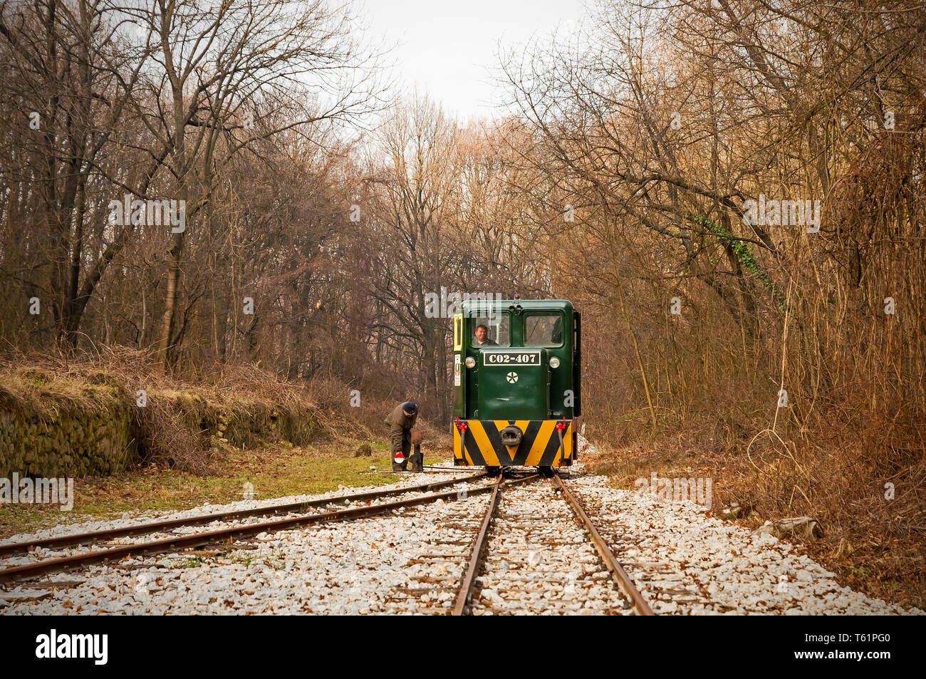 The narrow-gauge train at Mahóca in the Bükk National Park, Hungary ...