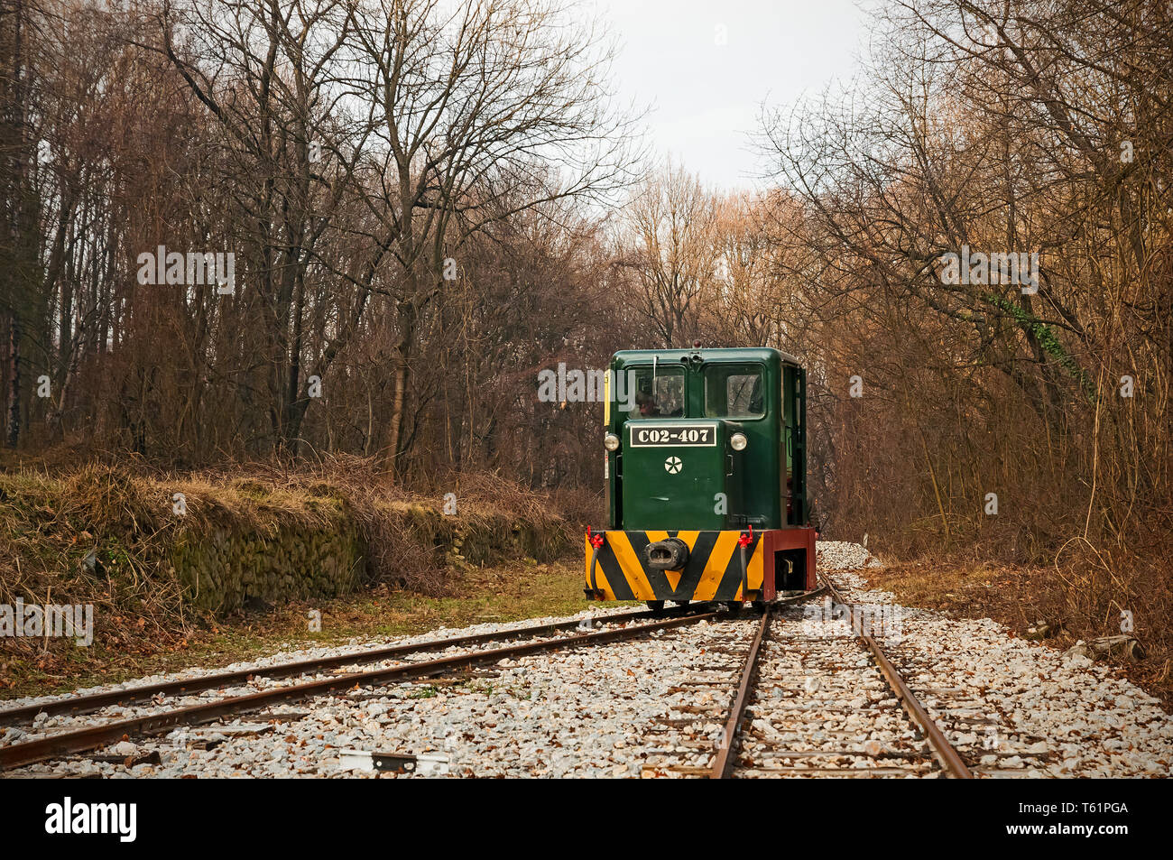 The narrow-gauge train at Mahóca in the Bükk National Park, Hungary ...