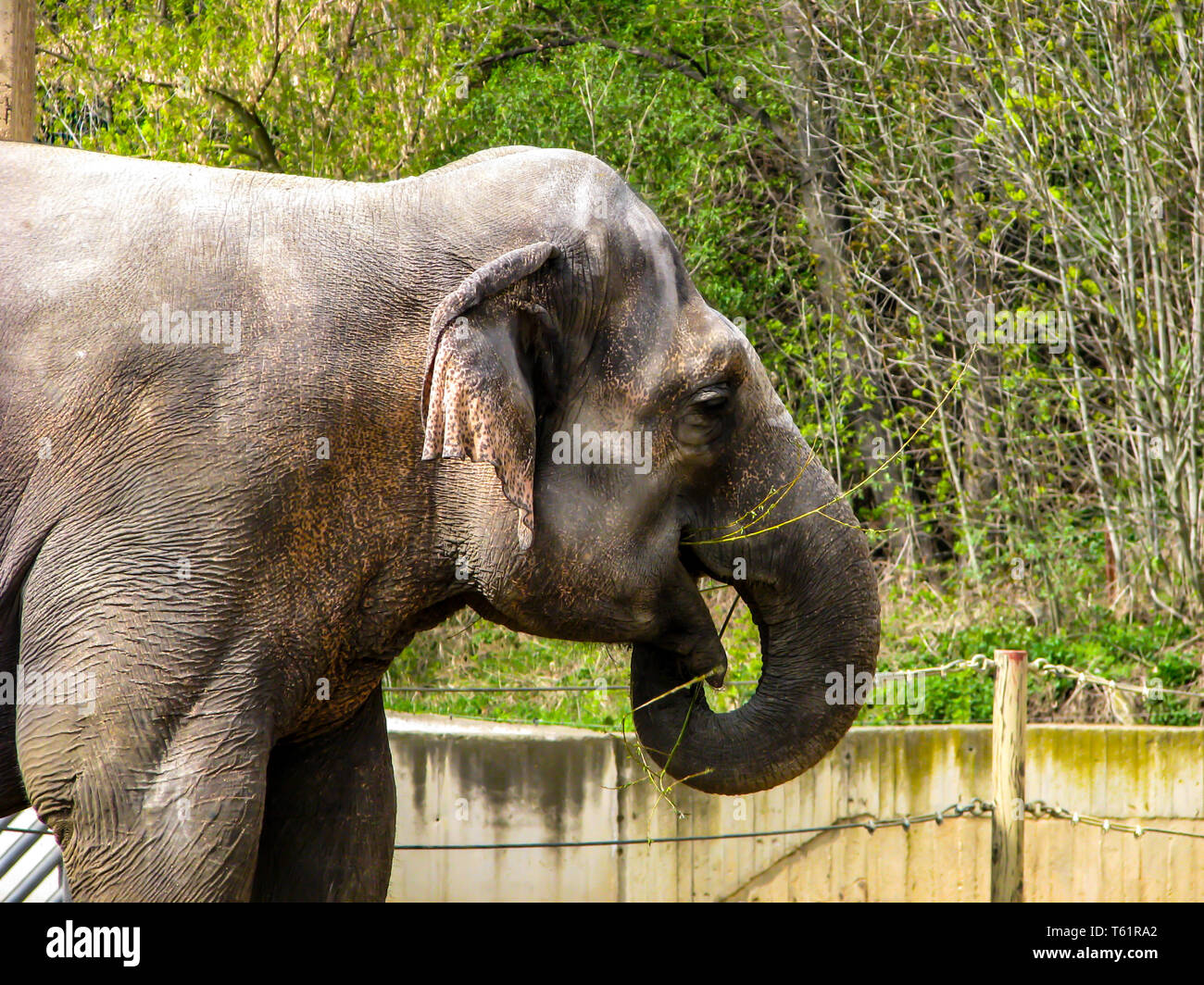 Open savana hi-res stock photography and images - Alamy