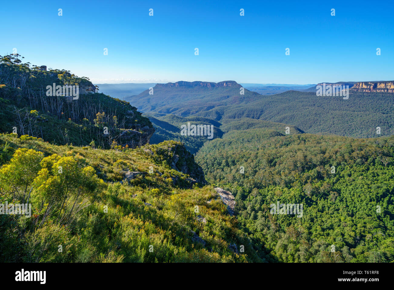 cliff view lookout, blue mountains national park, katoomba, new south ...