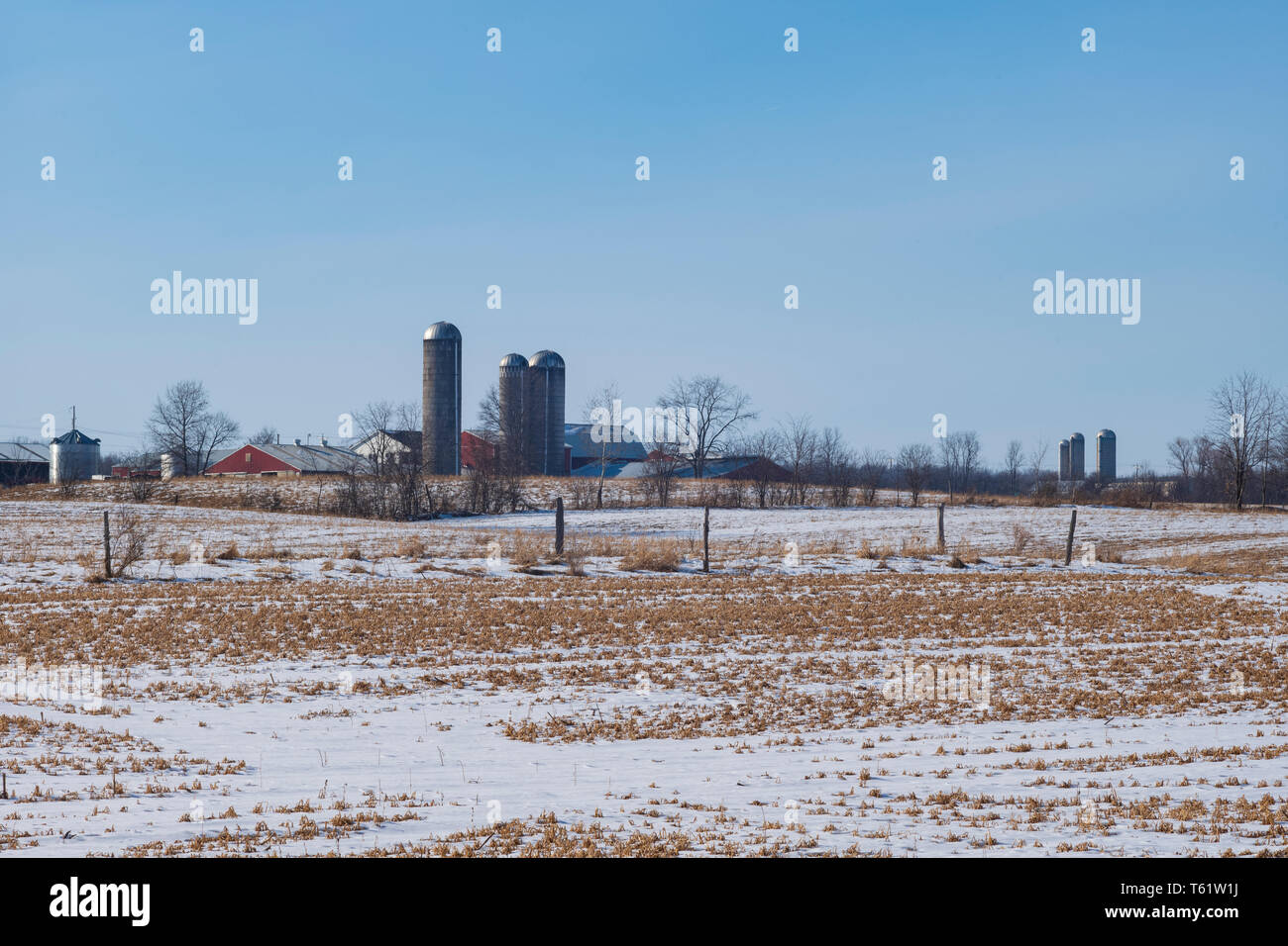 Snow covered corn field in New York State’s Fingerlake Region Stock ...