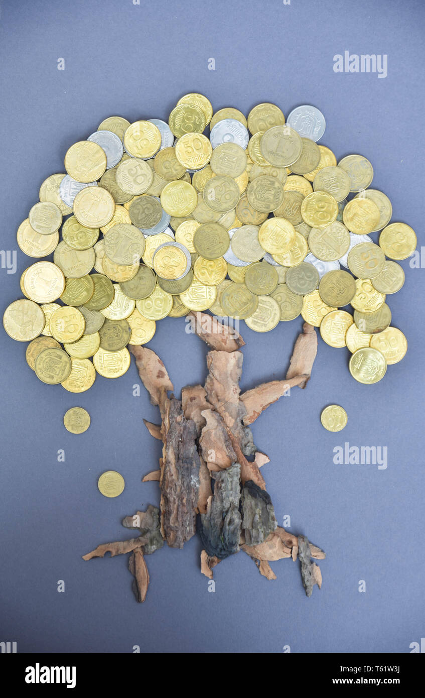 money tree on a gray background. penny and tree Stock Photo - Alamy