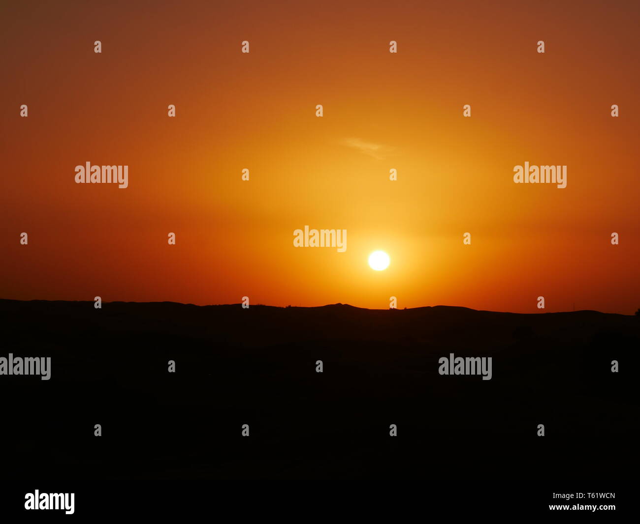 African sunset in the savannah in rich orange Stock Photo - Alamy