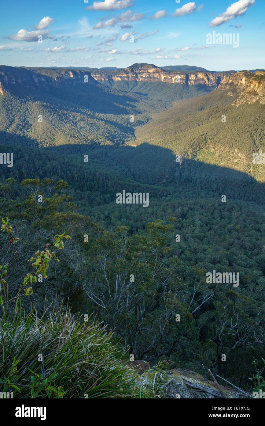 Grand canyon track australia hi-res stock photography and images - Alamy