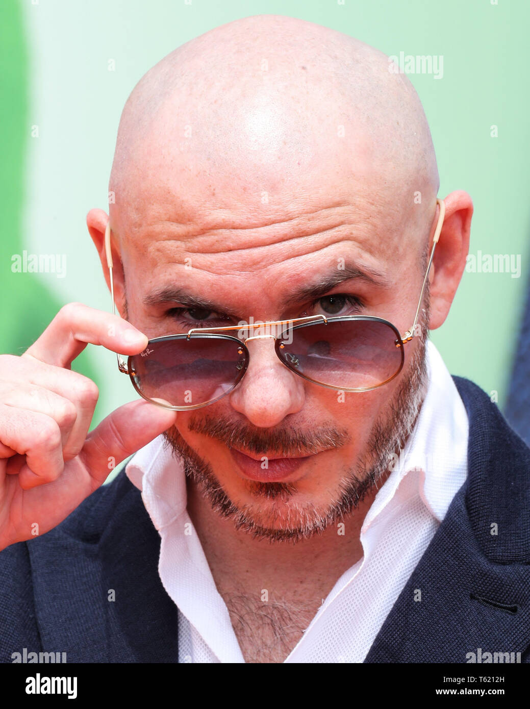 Pitbull Rapper With Sunglasses