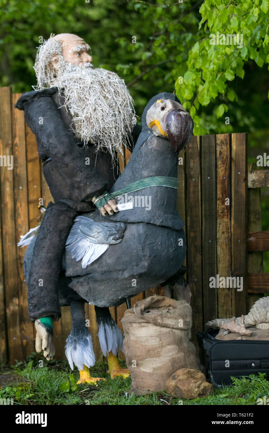 Dodo Bird Alice In Wonderland Costume