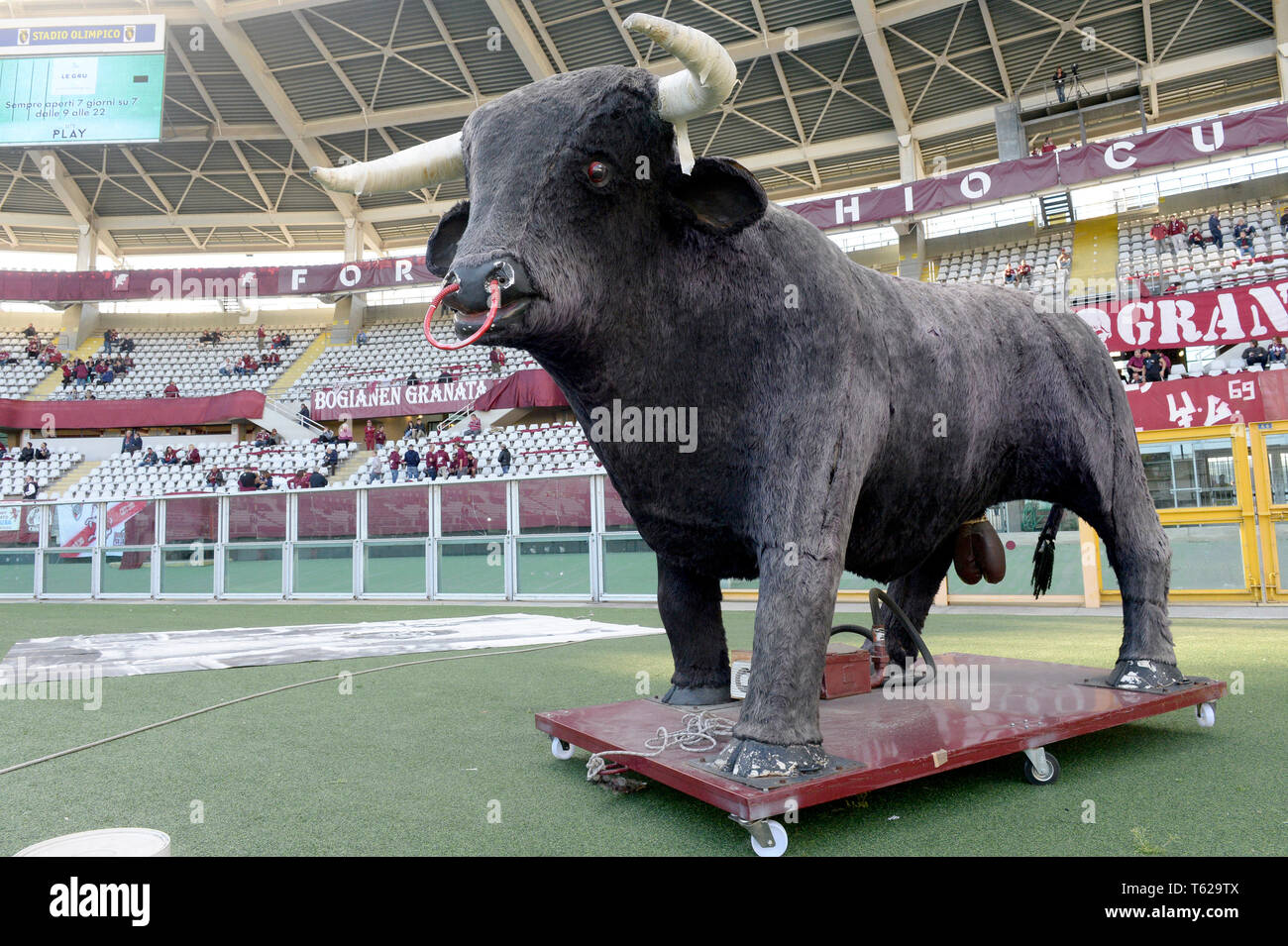 Torino the bull hi-res stock photography and images - Alamy