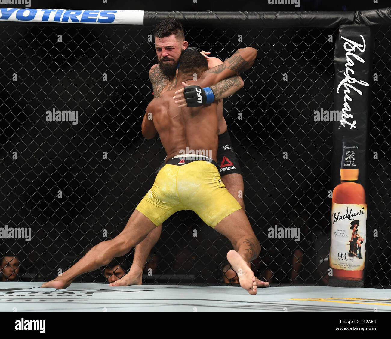 Ufc welterweight hi-res stock photography and images - Alamy