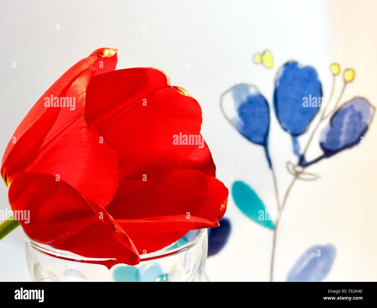 Nice glass hi-res stock photography and images - Alamy