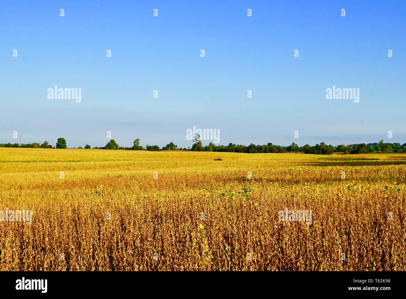 View canadian hi-res stock photography and images - Alamy