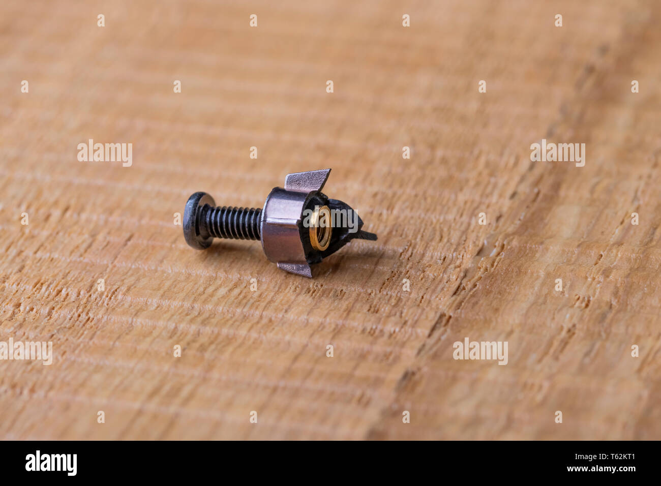 A shiny metal bolt securing the processor board, unscrewed in half ...