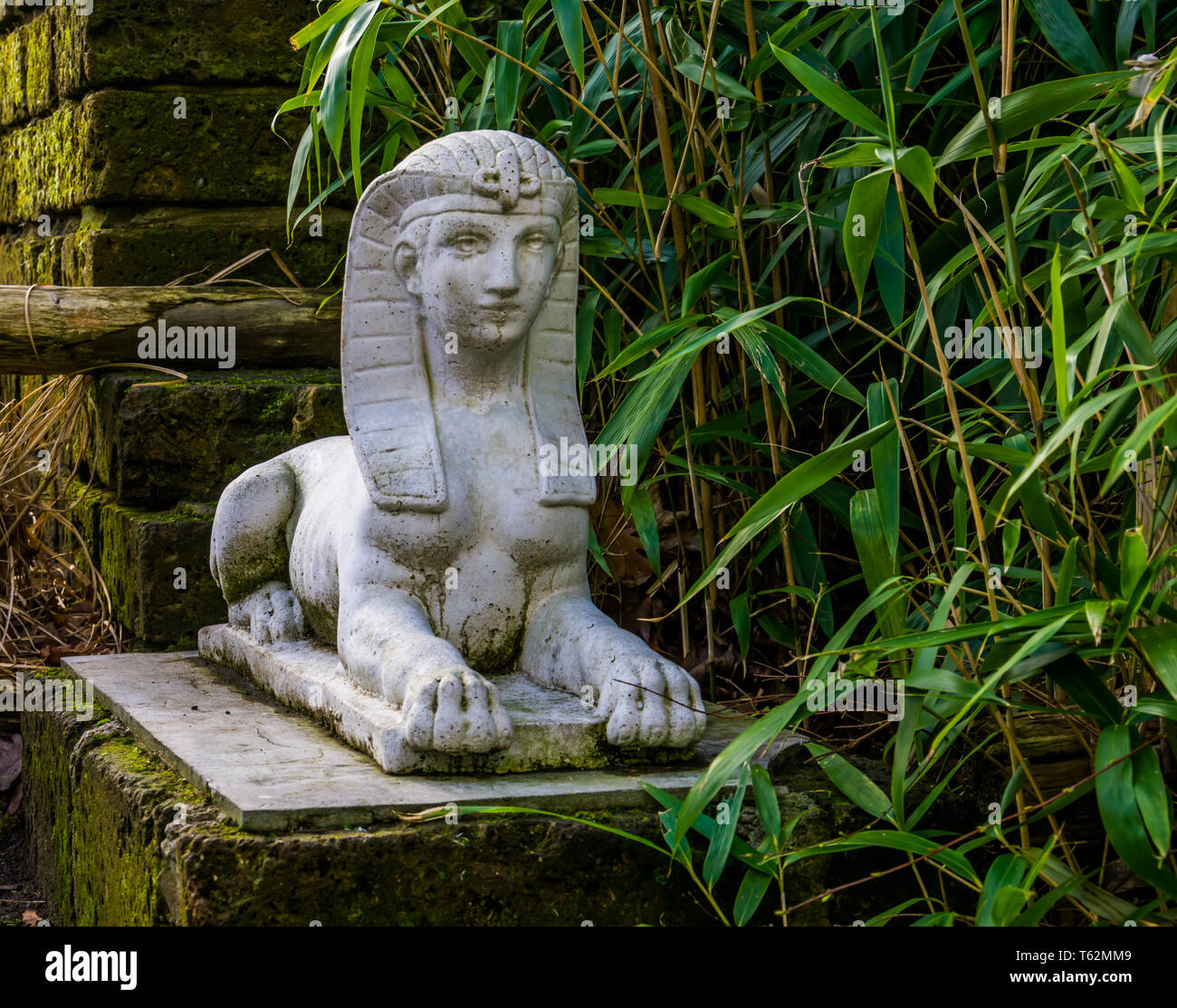 white stone sphinx statue in a garden, traditional egyptian decorations ...