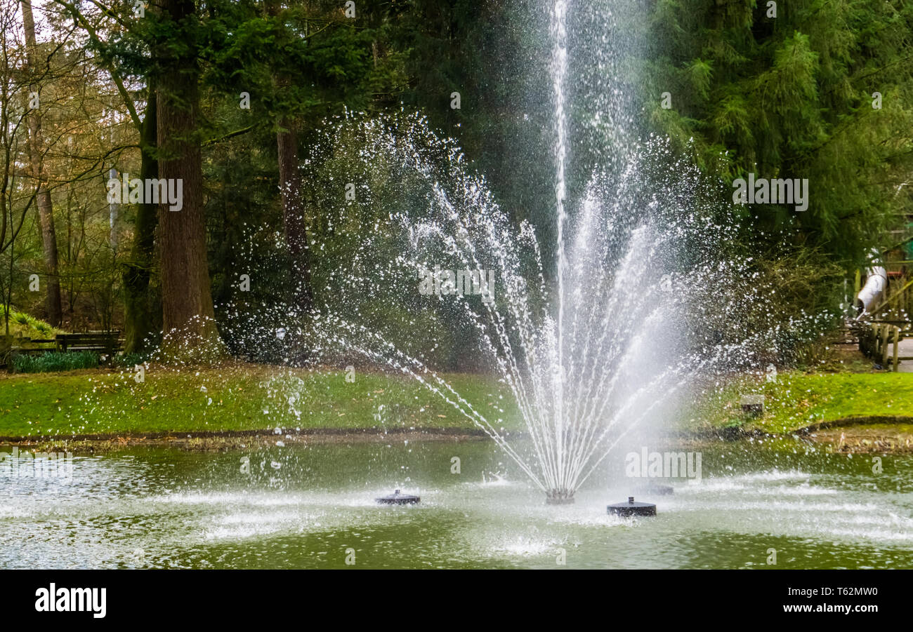 closeup of a water fountain spraying water, beautiful garden and park ...