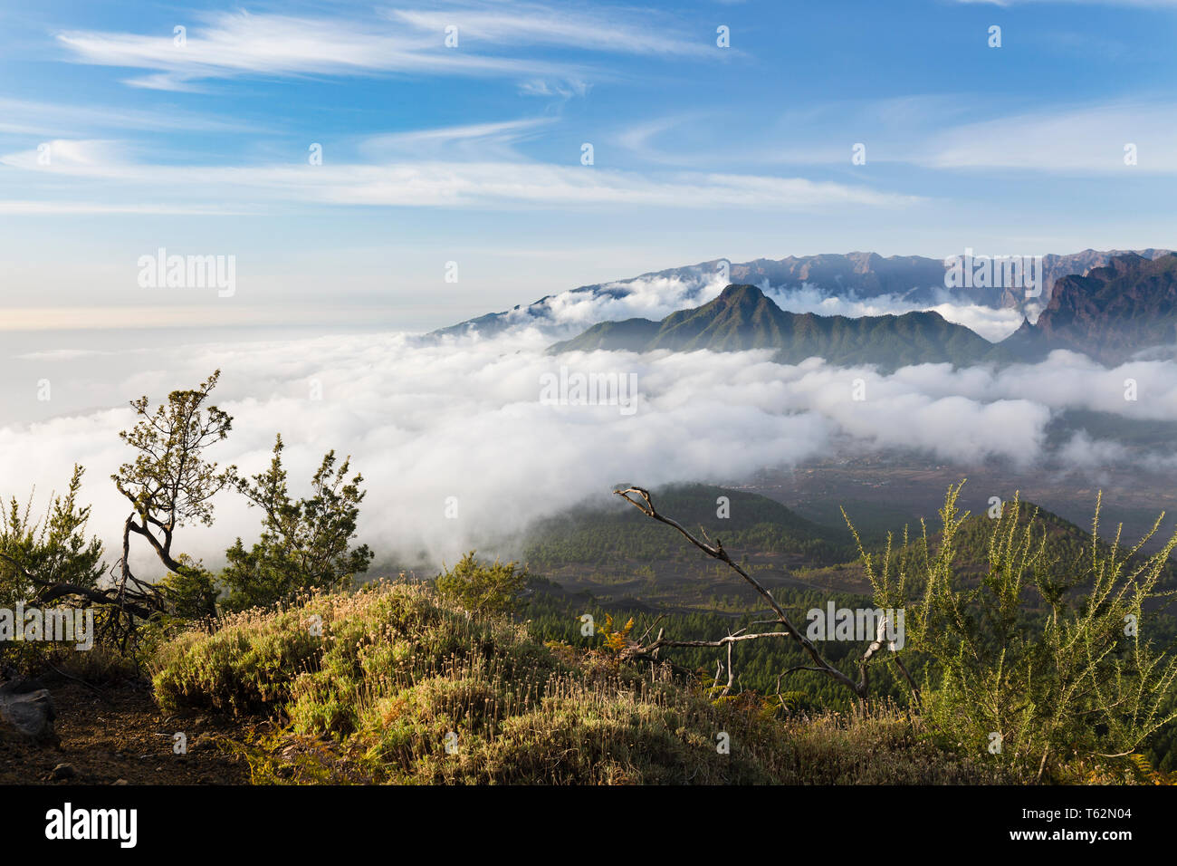 Crater de taburiente hi-res stock photography and images - Alamy