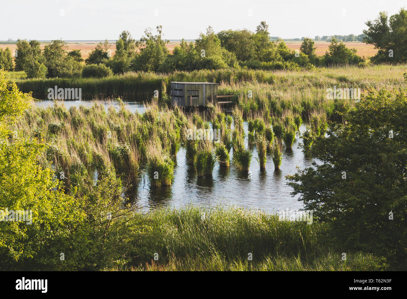 Bird watching hut hi-res stock photography and images - Alamy