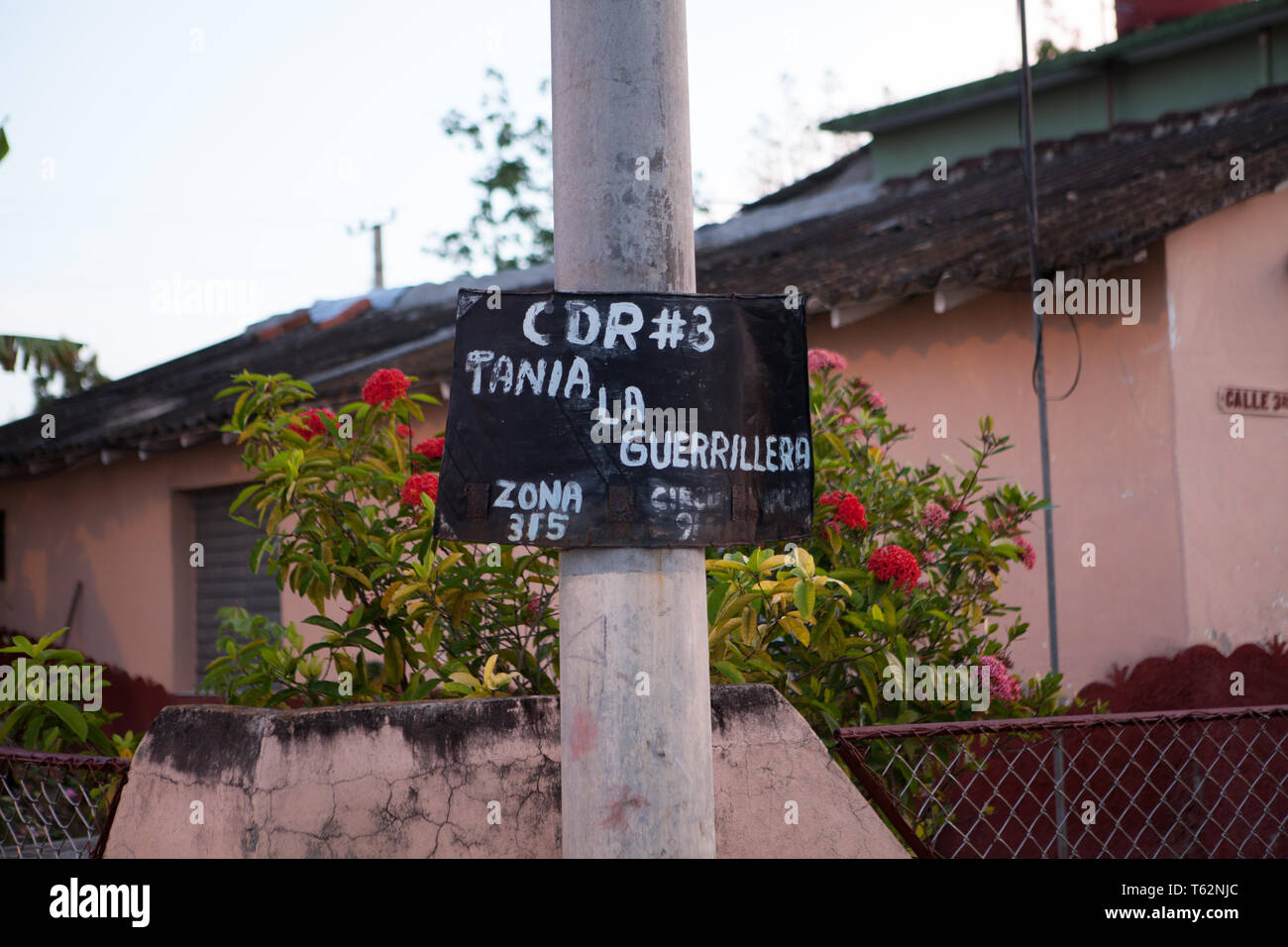 Cuba, Havana, national Cristal beer Stock Photo - Alamy