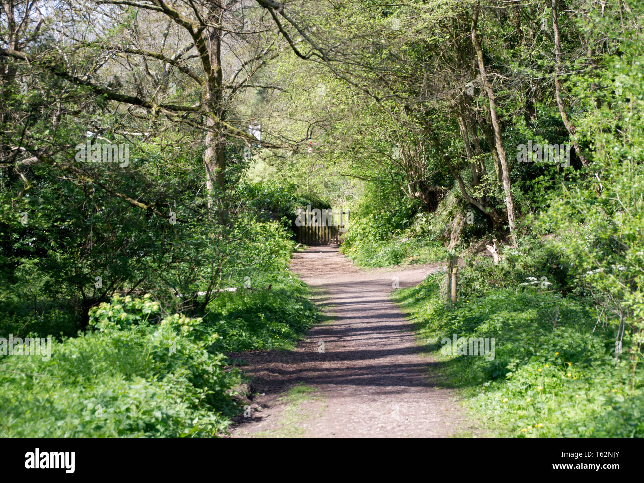 River side walks hi-res stock photography and images - Alamy