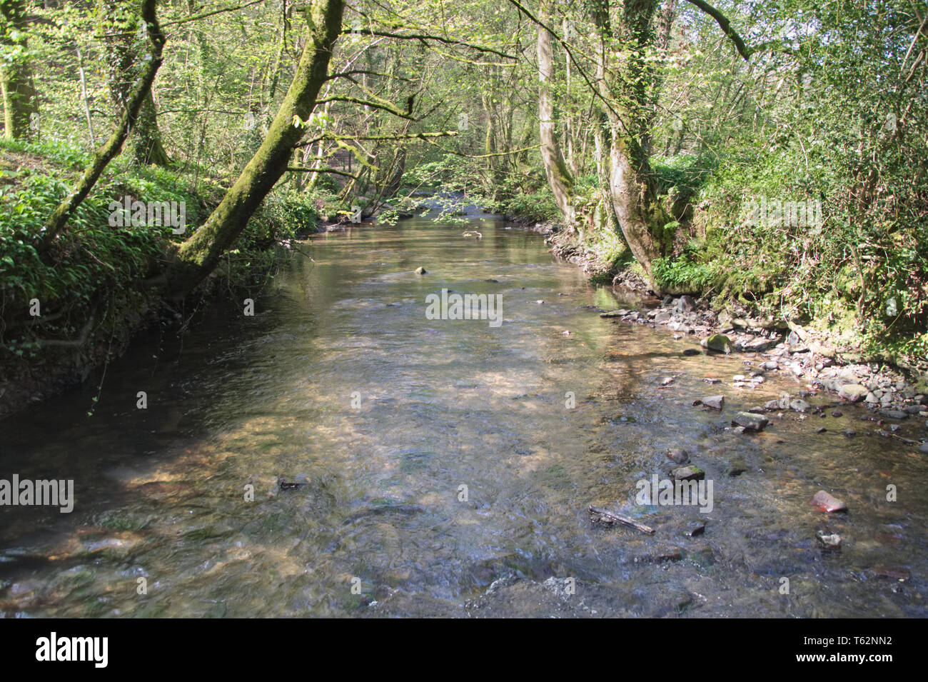 River Lemon Walks Stock Photo - Alamy