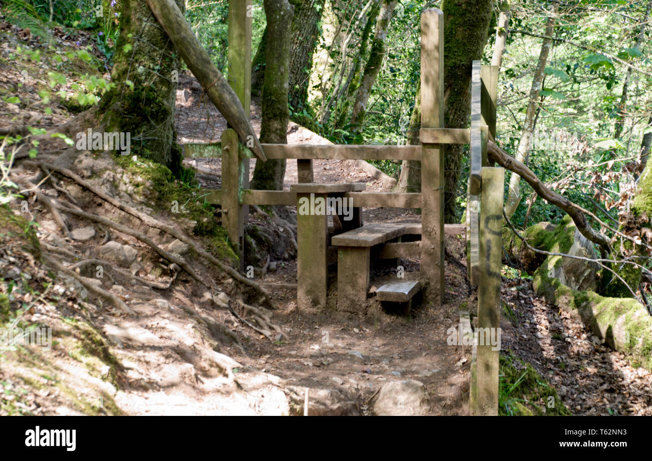 River Lemon Walks Stock Photo - Alamy