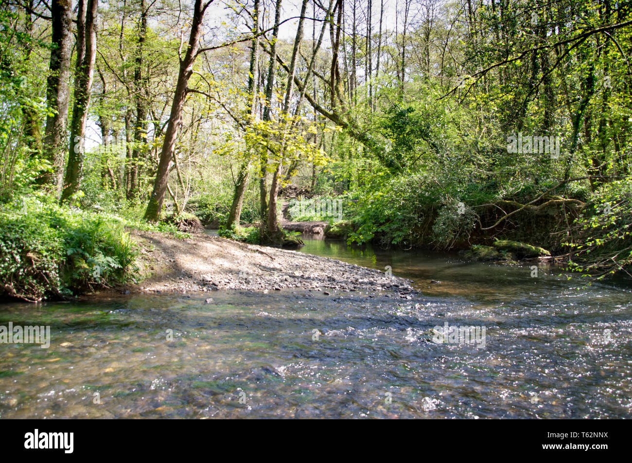 River Lemon Walks Stock Photo - Alamy