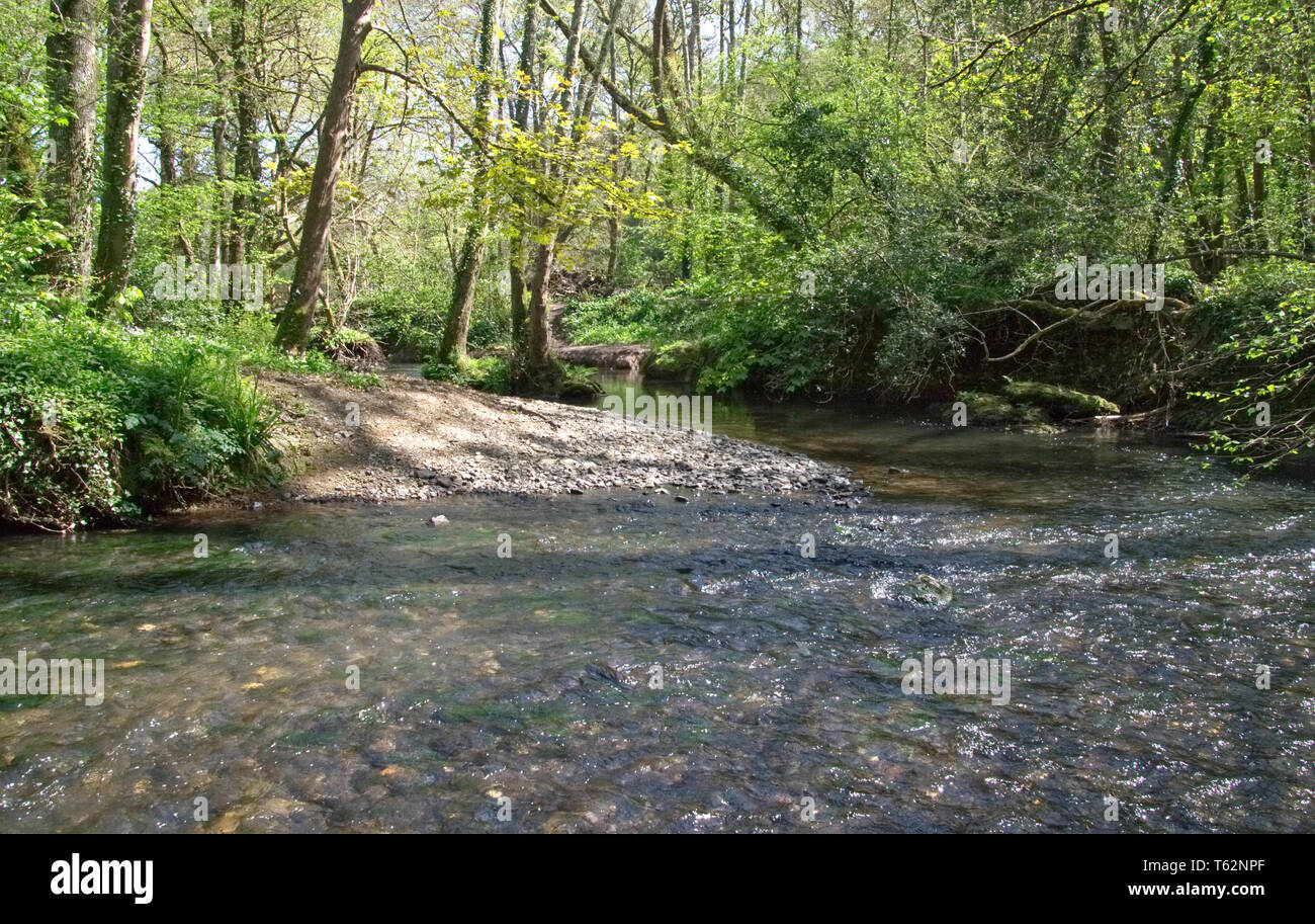 River Lemon Walks Stock Photo - Alamy