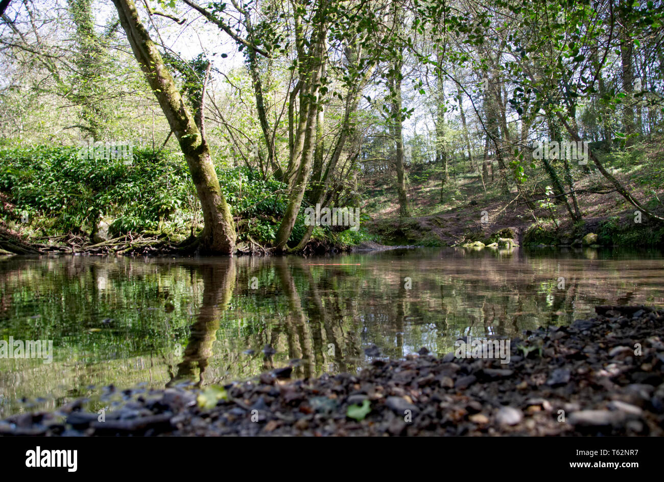 River Lemon Walks Stock Photo - Alamy