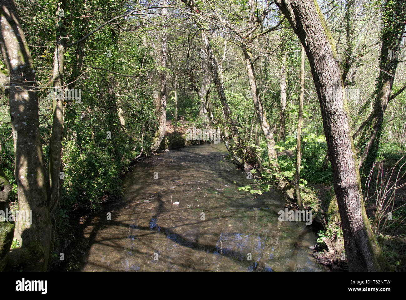 River Lemon Walks Stock Photo - Alamy