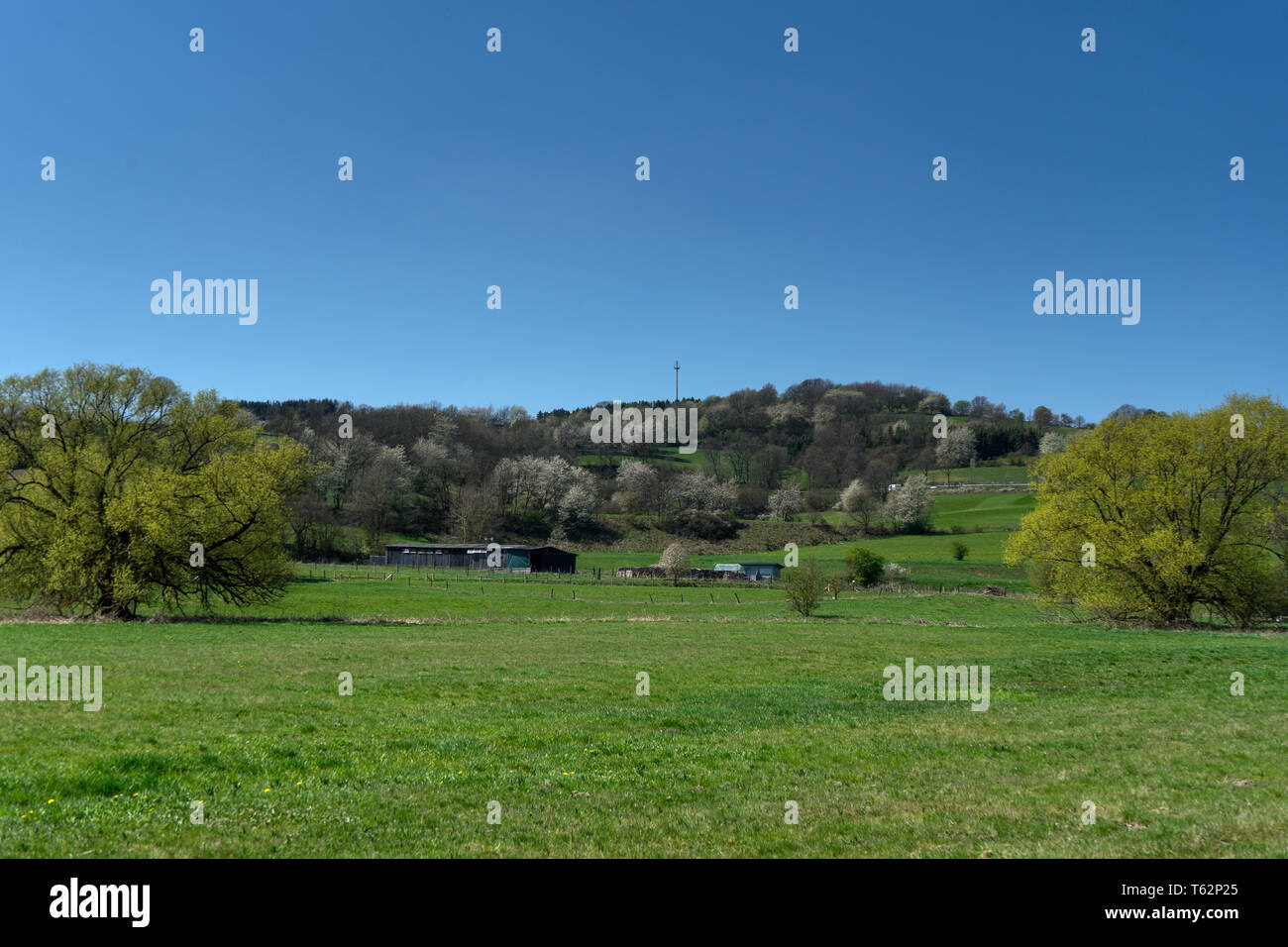 Landscape of the nature sanctuary of the german city called Hallenberg ...