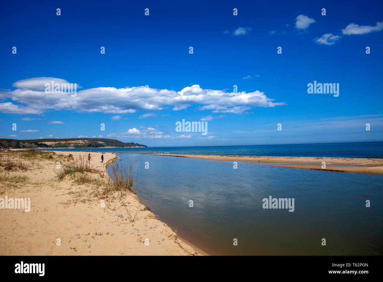Beach on Bulgarian Black sea coast, firth of river Kamchia, close to ...