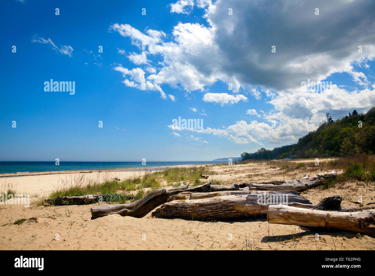 Beach on Bulgarian Black sea coast, firth of river Kamchia, close to ...